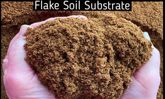 Flake Soil for Beetle Larvae | Beetle Substrate | Heart Leaf Tropicals